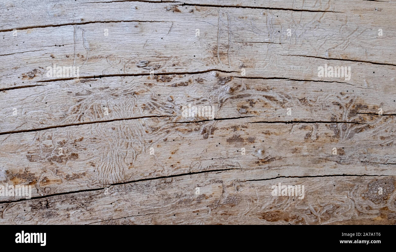 horizontal lines old wood texture background Stock Photo - Alamy