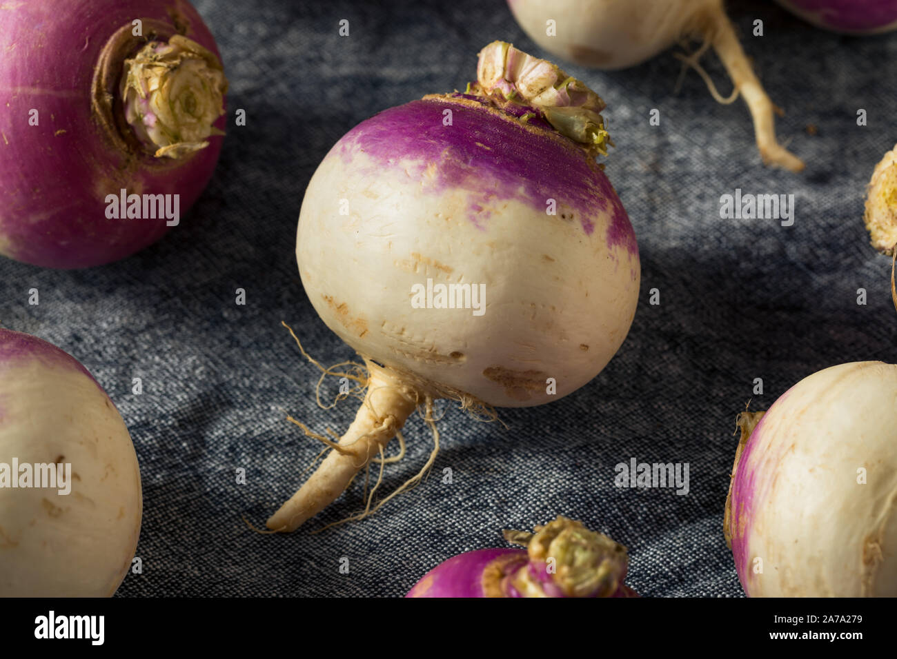 Turnip harvest spring hi-res stock photography and images - Alamy