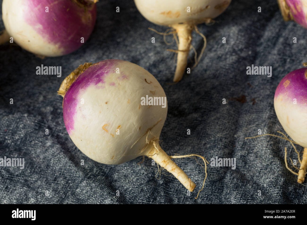 Raw Organic Purple Turnips Ready to Eat Stock Photo - Alamy