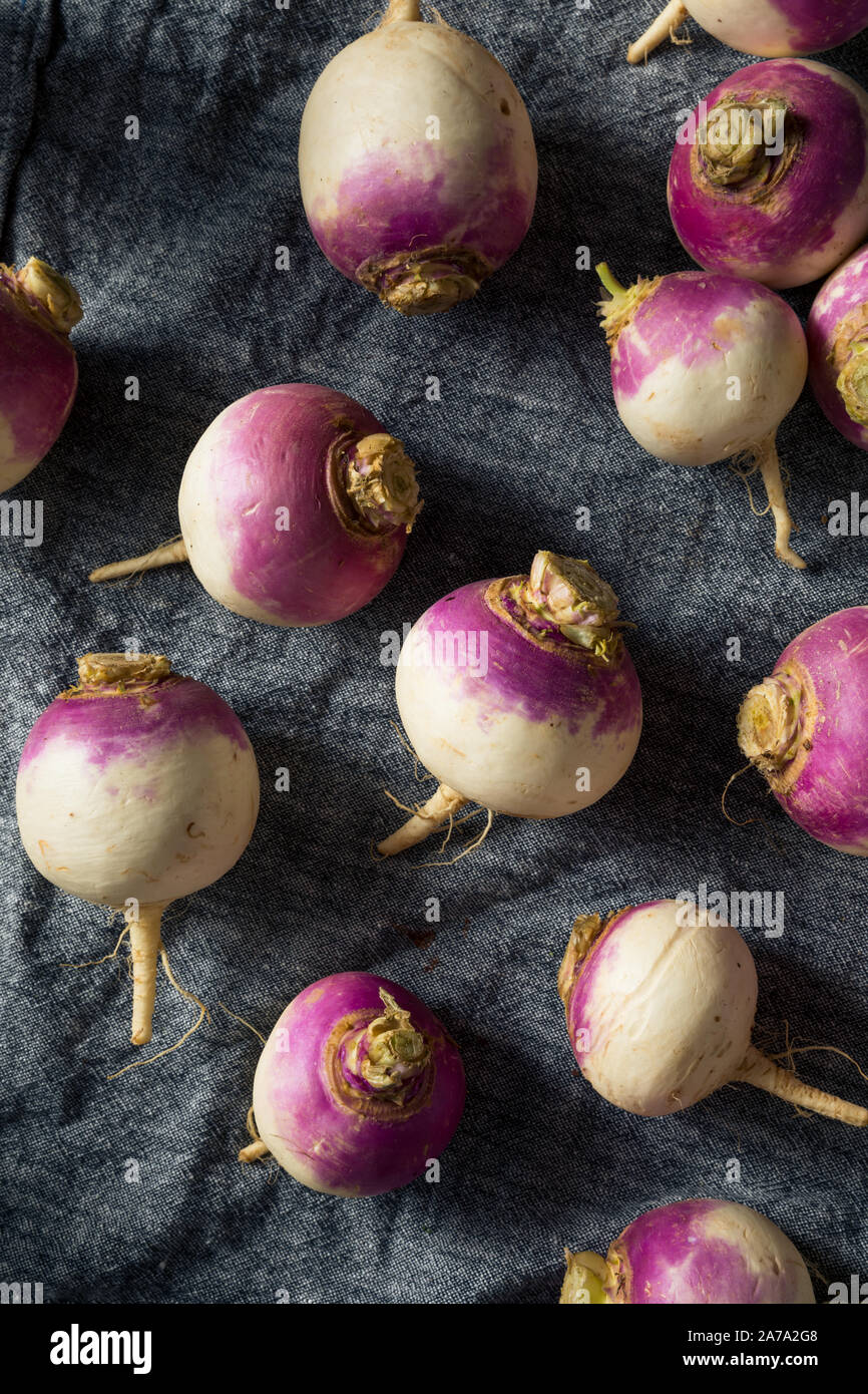 Raw Organic Purple Turnips Ready to Eat Stock Photo - Alamy