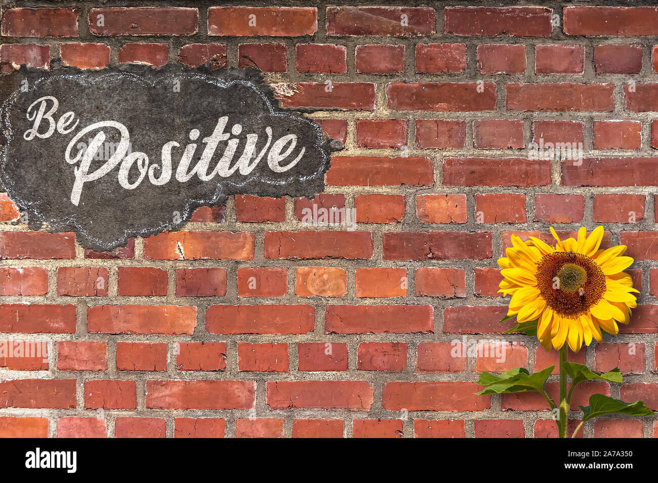 The Words Be Optimistic Written on a Red Brick Wall with a Sunflower ...