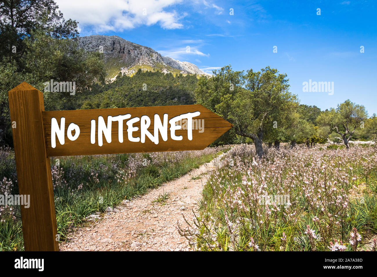 Beautiful Landscape with a Sign saying No Internet Stock Photo - Alamy