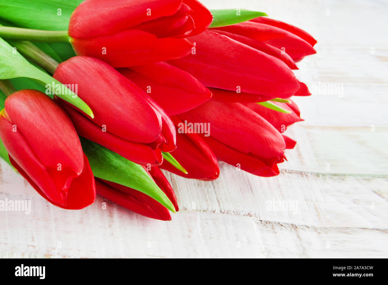 White tulips tied hi-res stock photography and images - Alamy