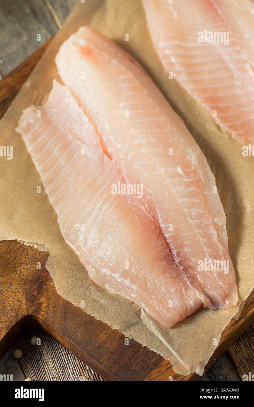Raw White Organic Tilapia Fish Ready to Cook Stock Photo - Alamy