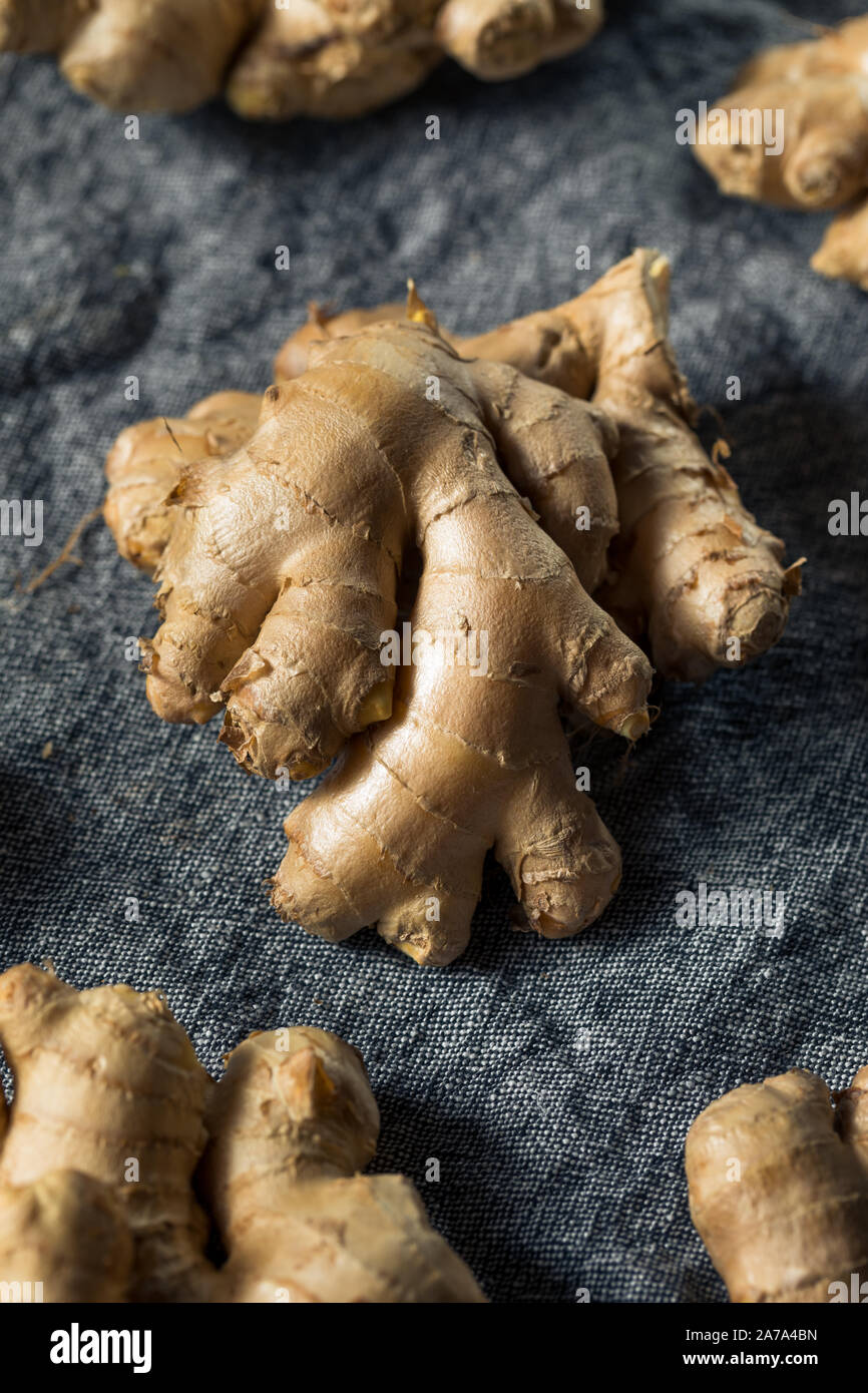 Raw Brown Organic Spicy Ginger Root Ready to Cook Stock Photo - Alamy