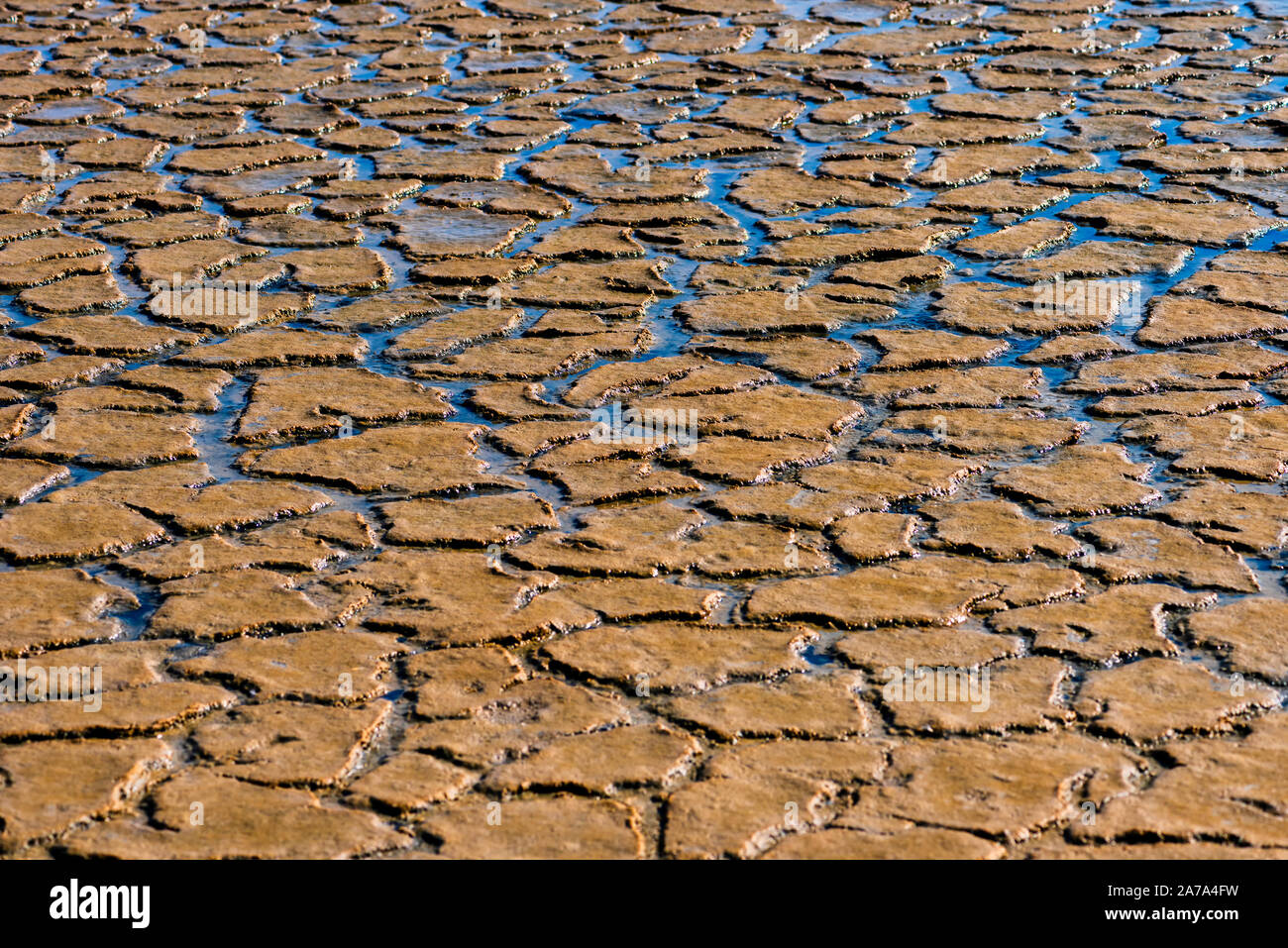Water layer after a storm covers the ground affected by dryness Stock ...