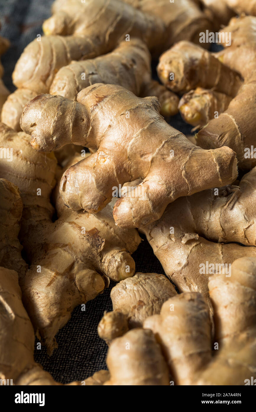 Raw Brown Organic Spicy Ginger Root Ready to Cook Stock Photo - Alamy