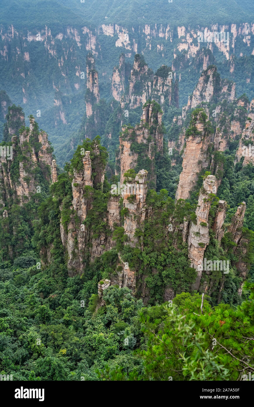Vertical view of the stone pillars of Tianzi mountains in Zhangjiajie ...
