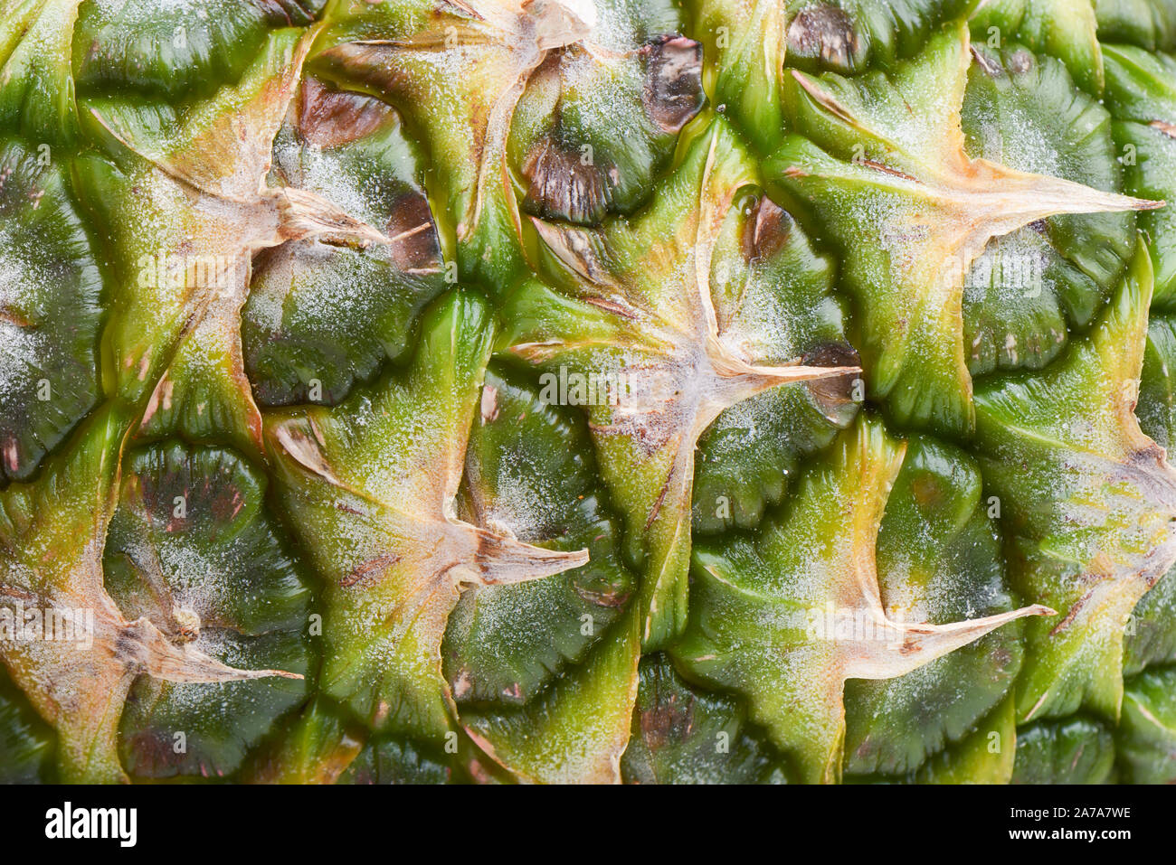 Macro shot of pineapple peel texture as background. Peel of ripe ...
