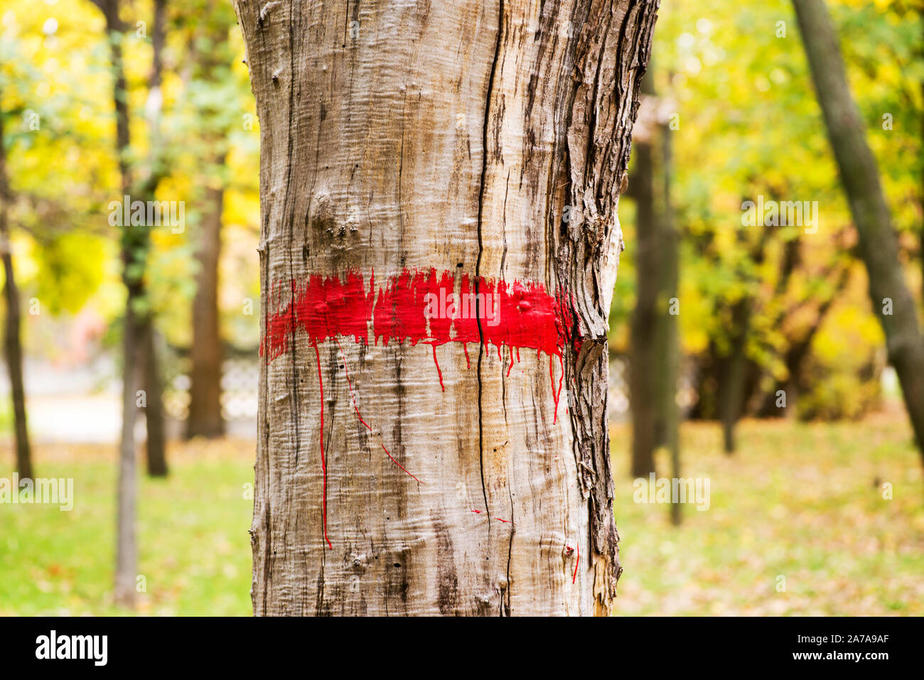Logging signs hi-res stock photography and images - Alamy