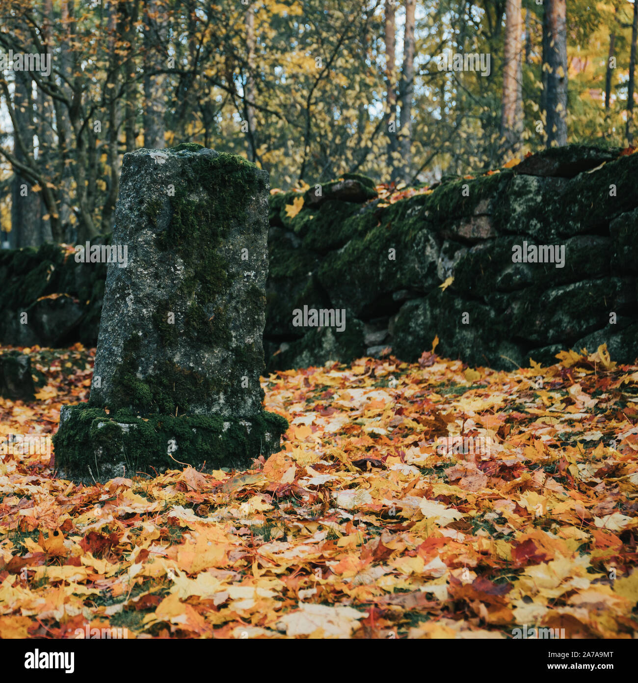 Close up view of the old tombstone in the cemetery Stock Photo - Alamy