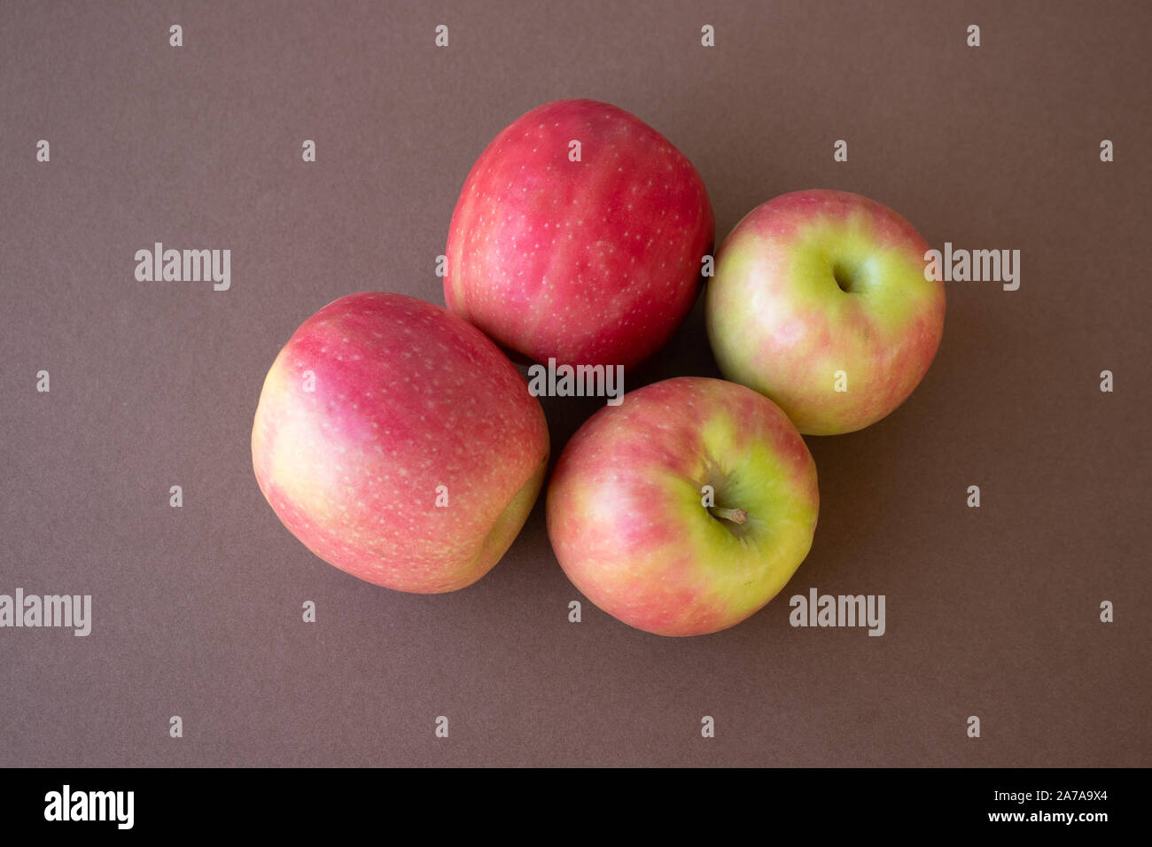Pink Lady Apples from Apple Hill, California Stock Photo - Alamy