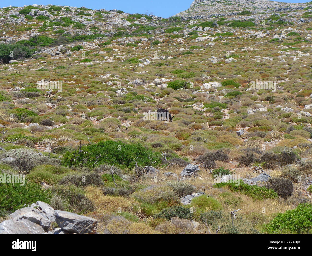 Kithira arch hi-res stock photography and images - Alamy