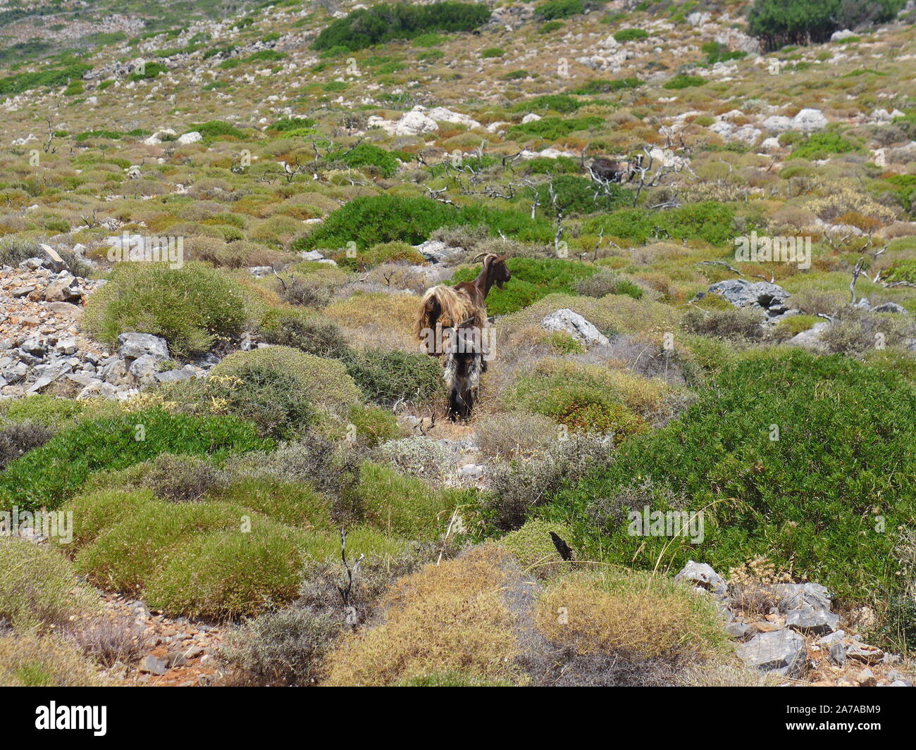 Kithira arch hi-res stock photography and images - Alamy