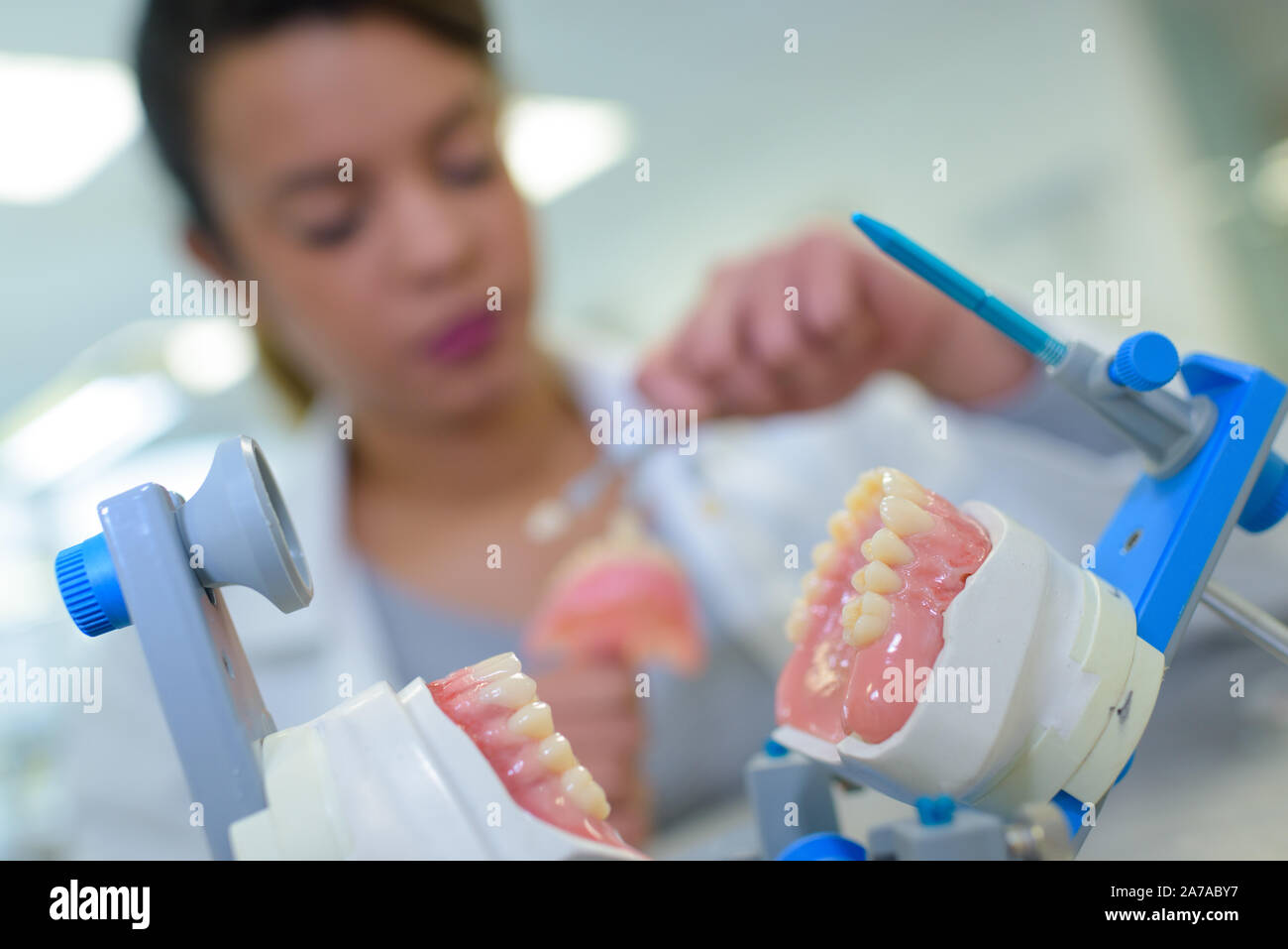 prosthetic teeth in a clamp technician in blurred background Stock ...
