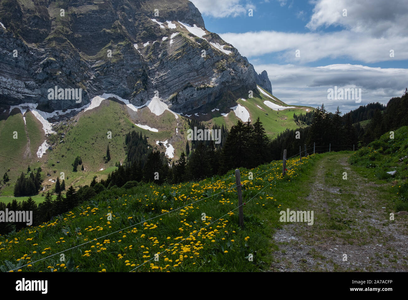 Beautiful alpine scenery hi-res stock photography and images - Alamy