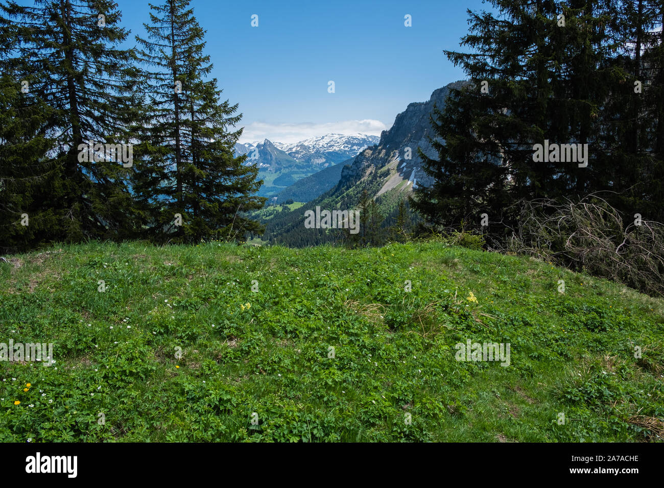 Beautiful alpine scenery hi-res stock photography and images - Alamy