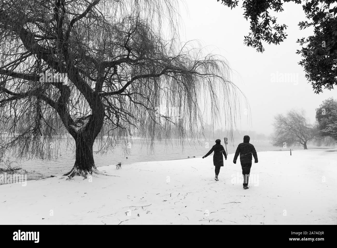 Snow Scenes in Roath Park, Roath, Cardiff, Wales, UK Stock Photo - Alamy