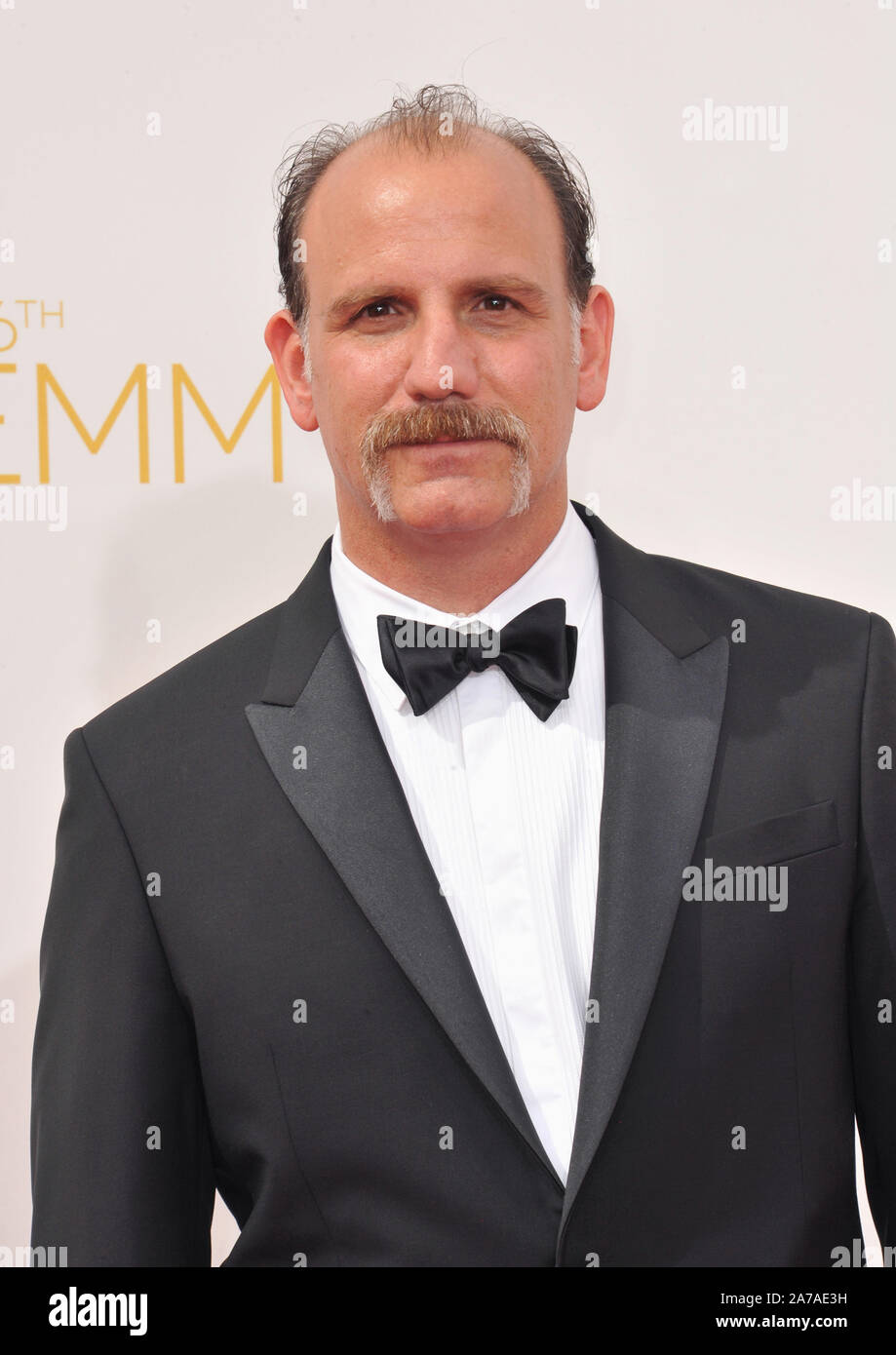 LOS ANGELES, CA - AUGUST 25, 2014: Nick Sandow at the 66th Primetime ...