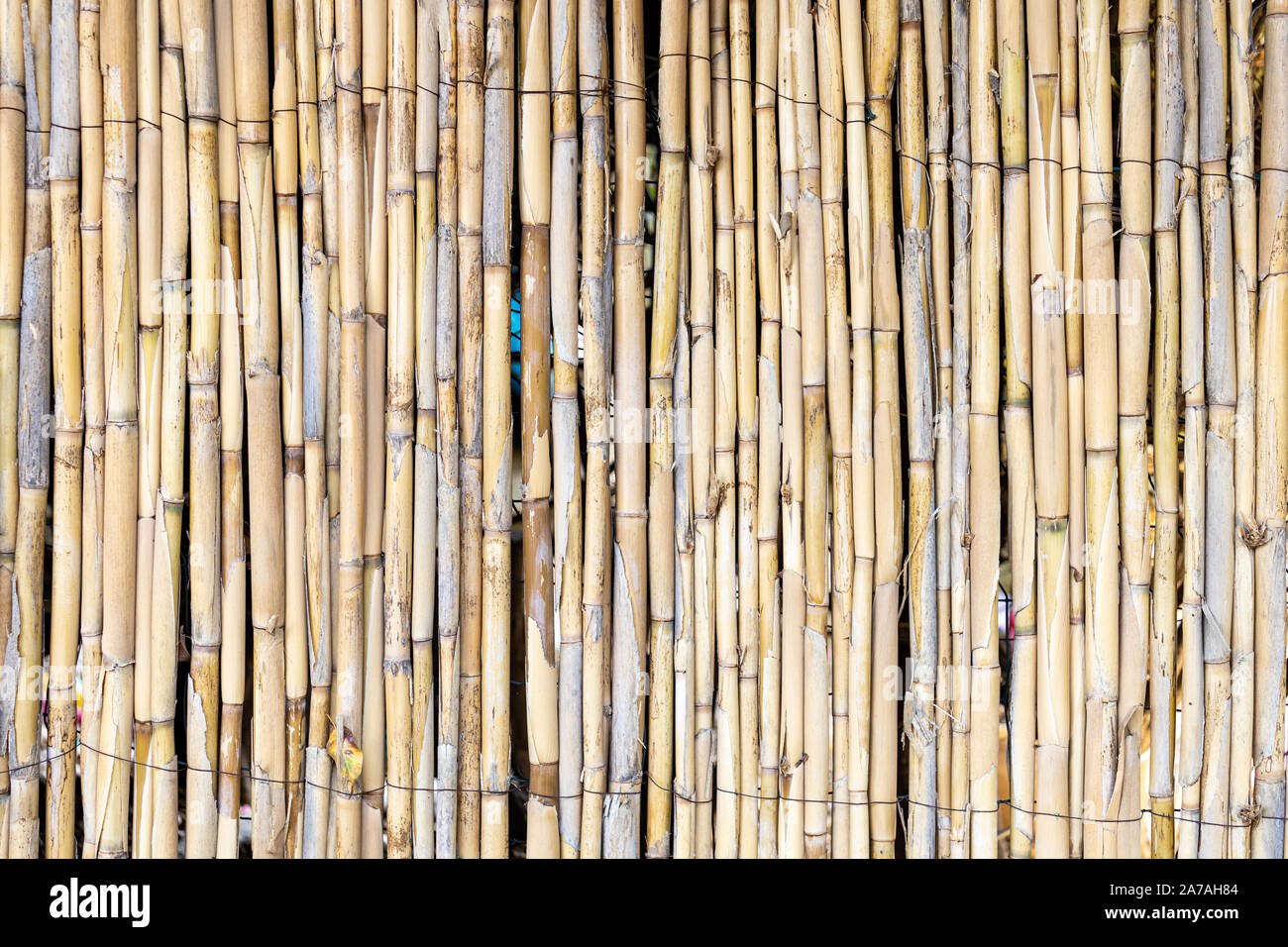 Gray Yellow Reed Fence Stock Photo - Alamy