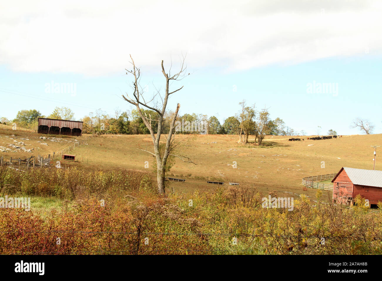 Virginia hills hi-res stock photography and images - Alamy