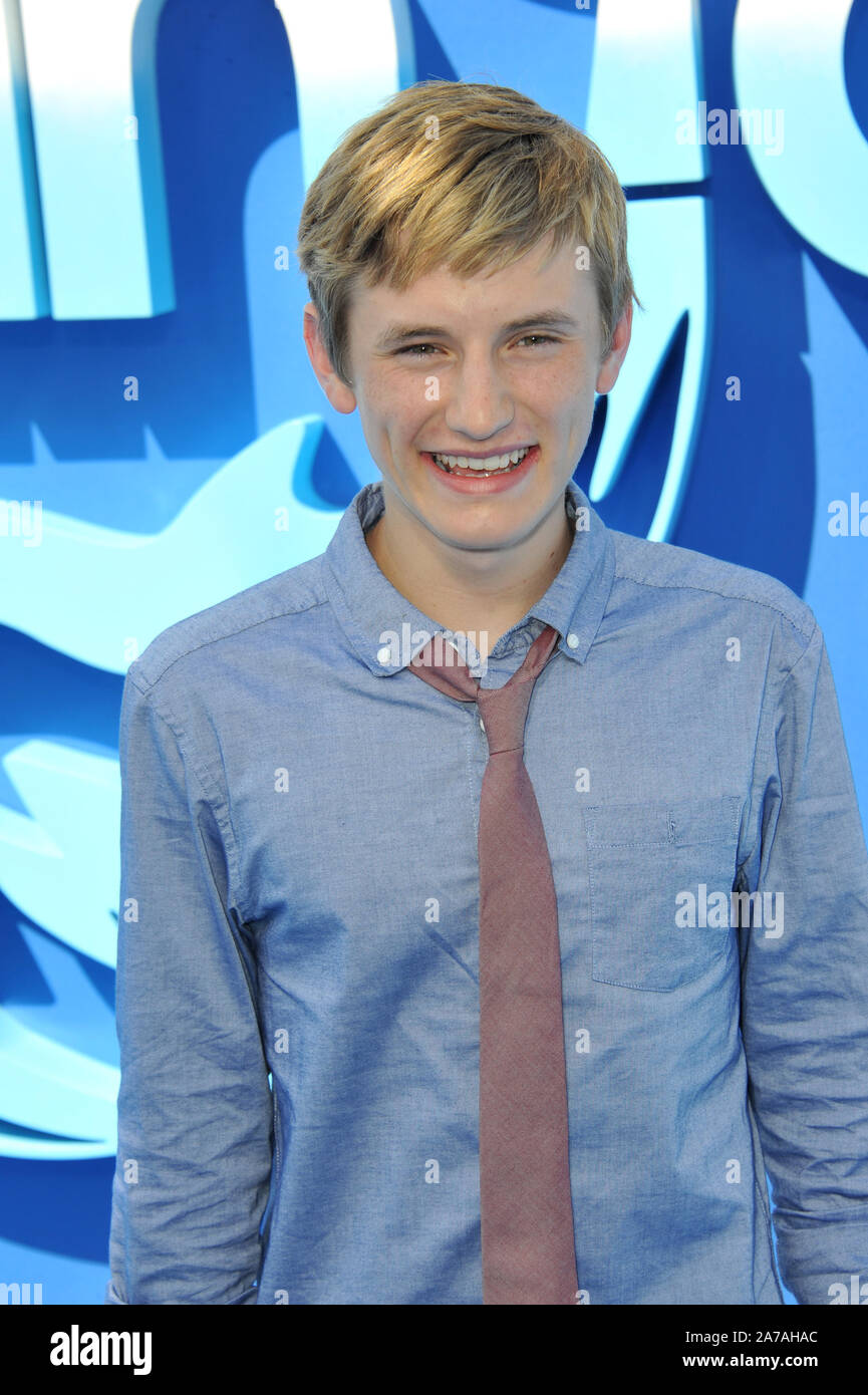 Dolphin Tale High Resolution Stock Photography and Images - Alamy