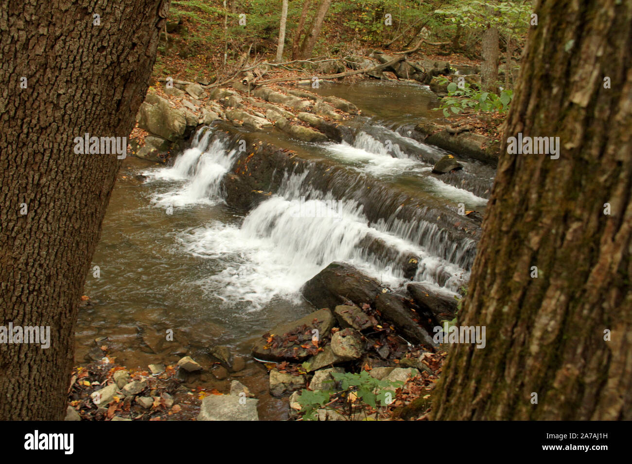 The Falls Of Logan Creek in South-Western Virginia, USA Stock Photo - Alamy