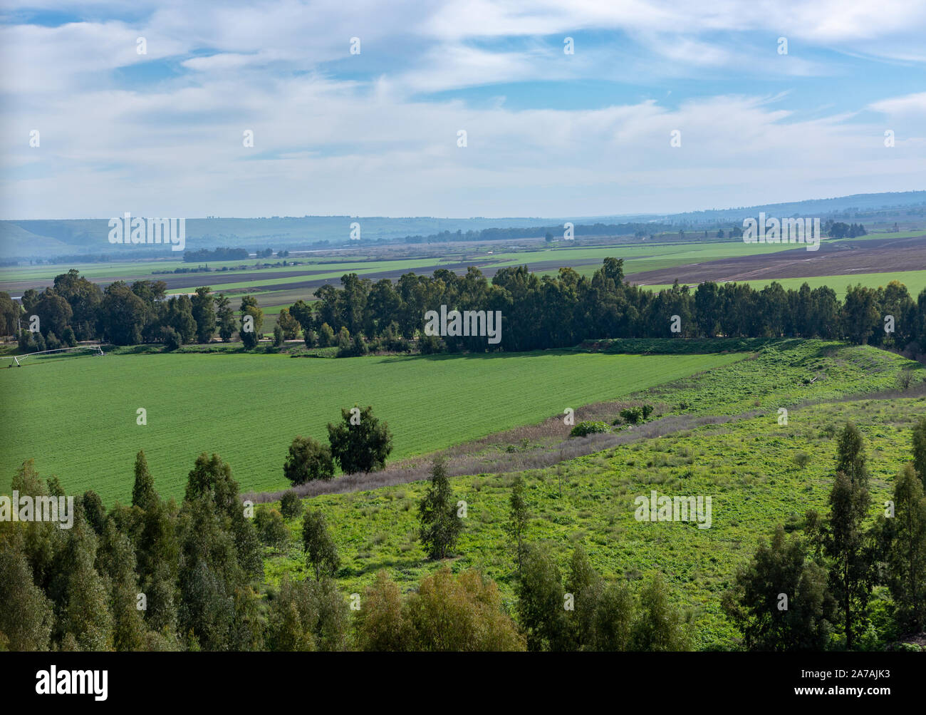 View of green fields and Hula Valley Reserve Stock Photo - Alamy