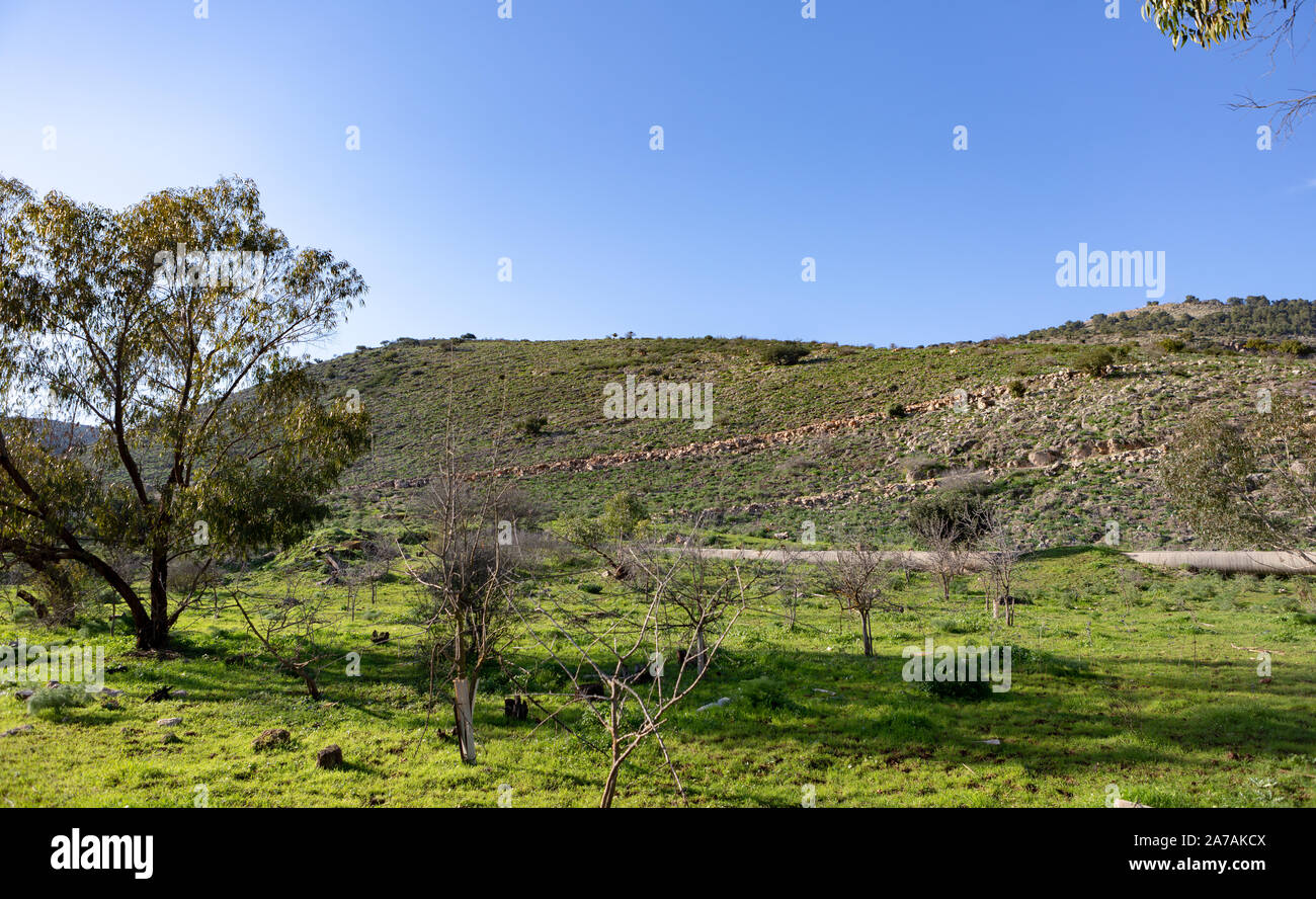 Panorama of a green hill and glade in northern Israel in winter Stock ...