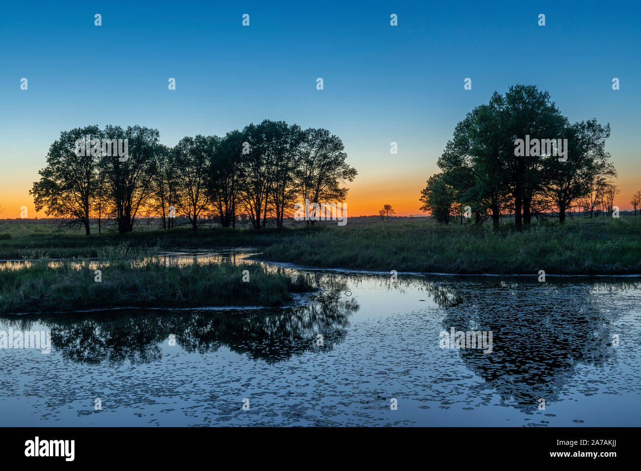 Twilight over wetland, early Summer, WI, USA, by Dominique Braud ...