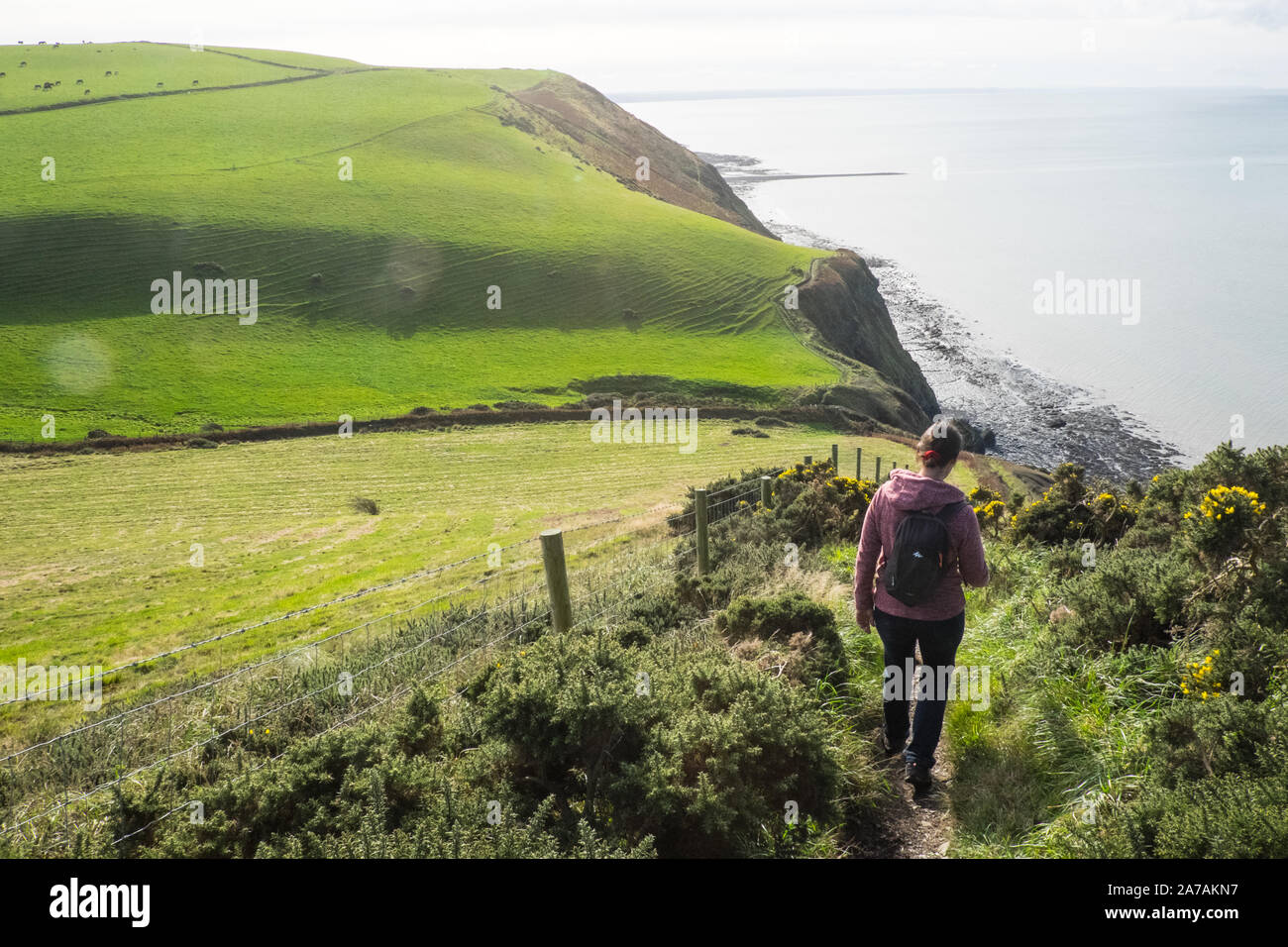 From borth hi-res stock photography and images - Alamy