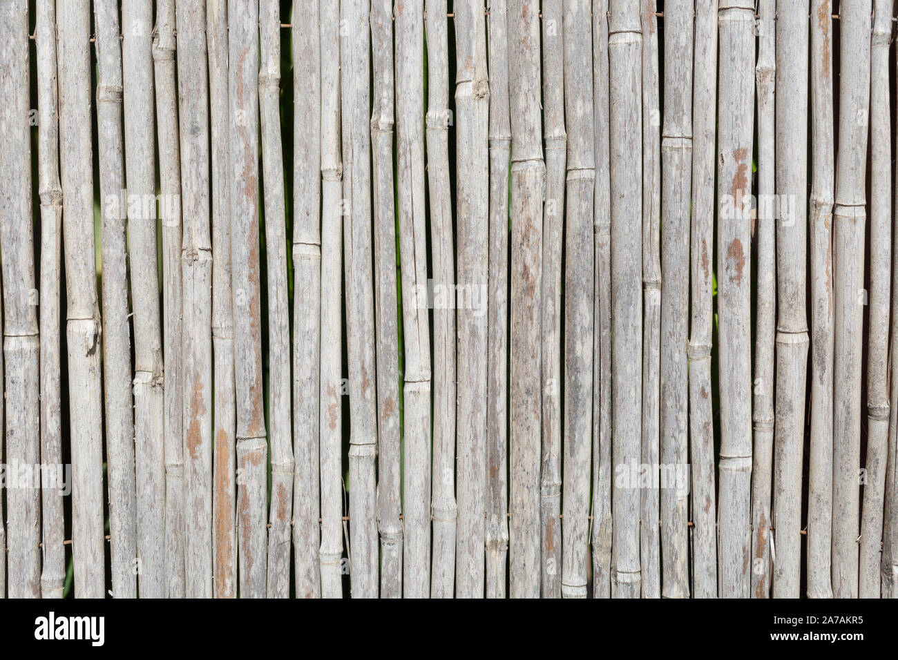 Gray bamboo texture screensaver Stock Photo - Alamy