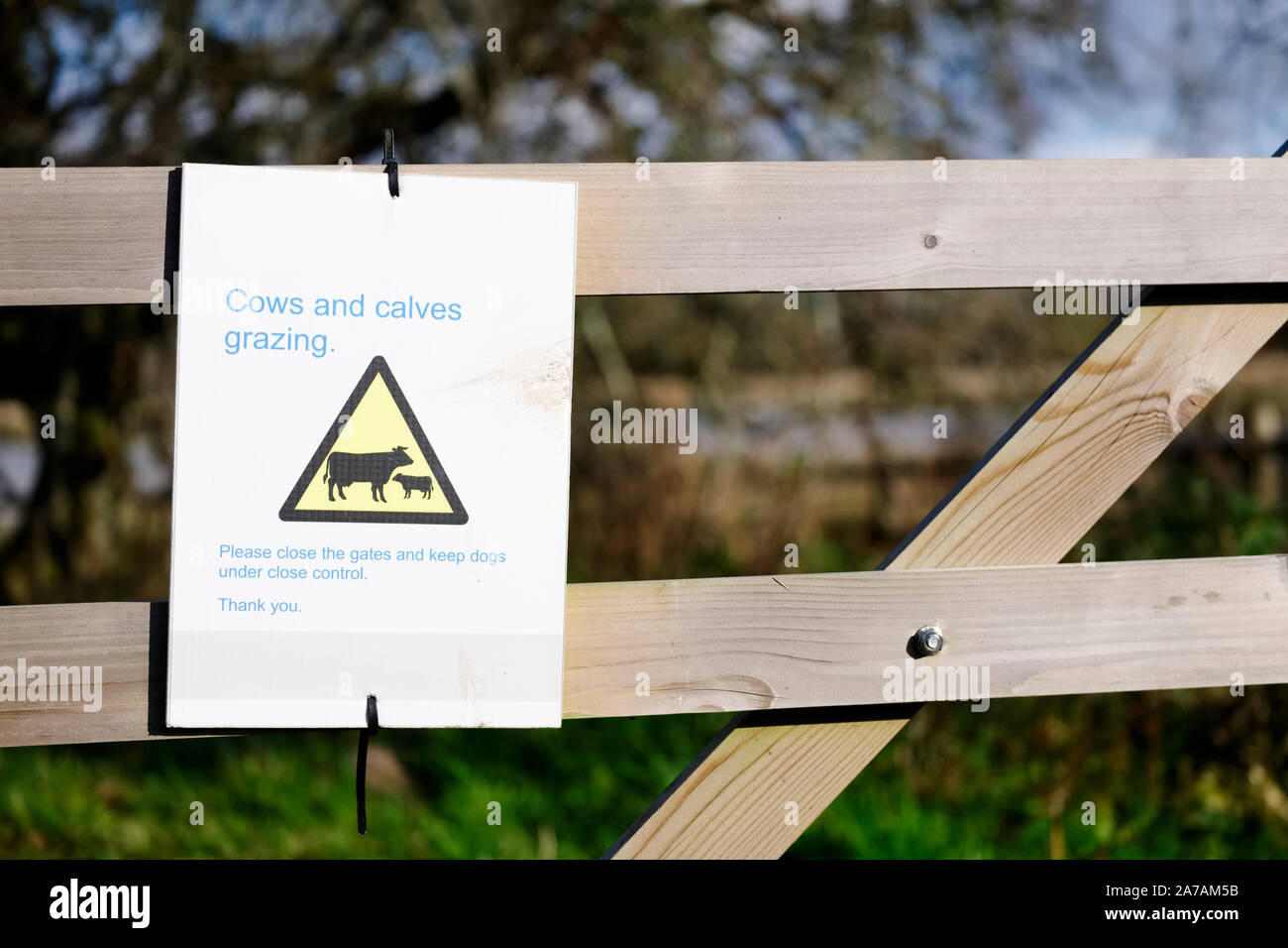 Cows and calves grazing warning sign on private farm Stock Photo - Alamy