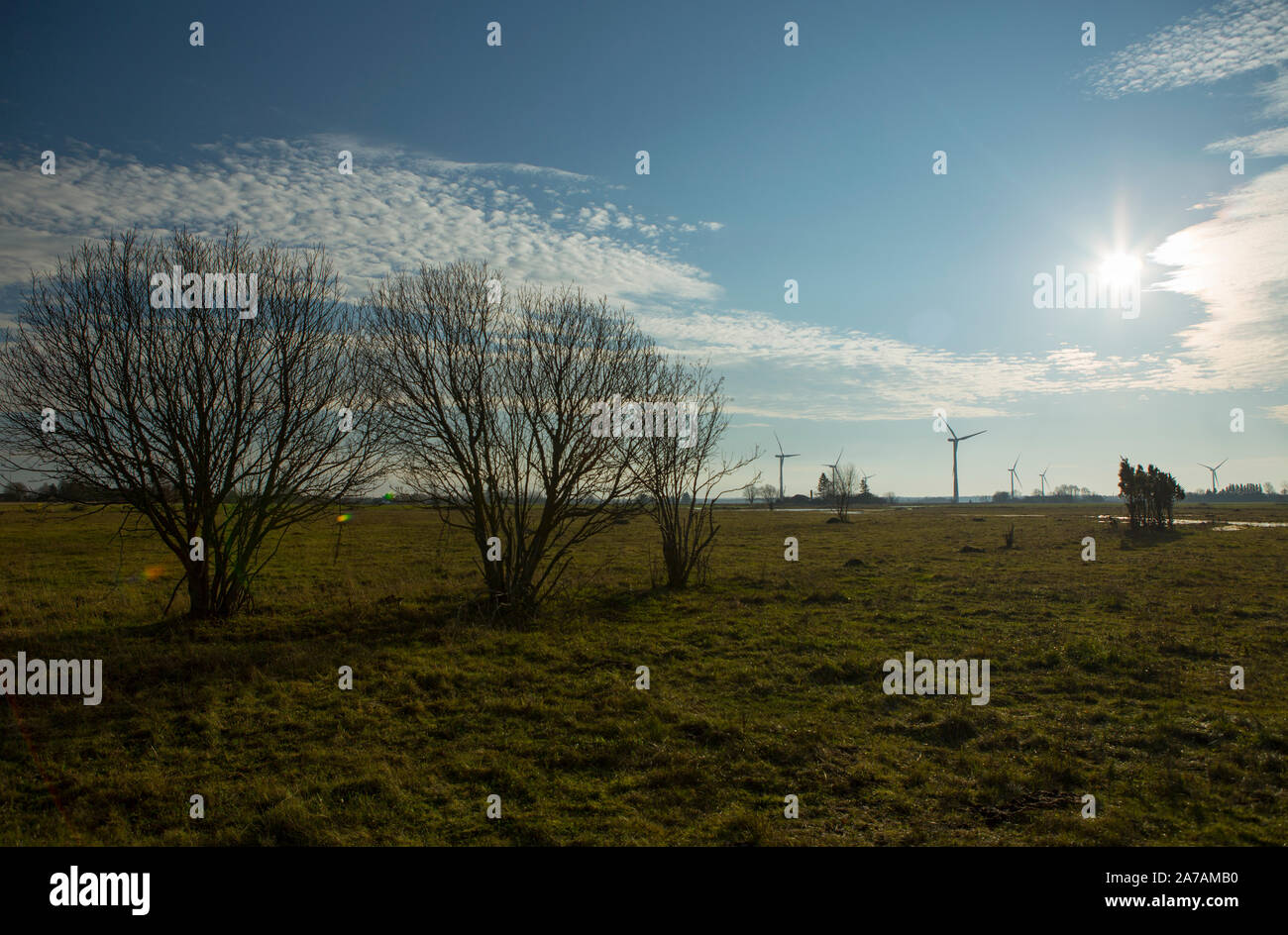 Ida viru hi-res stock photography and images - Alamy