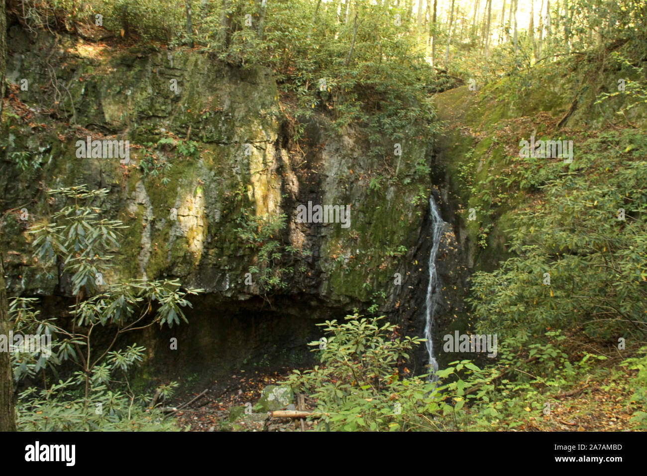Tennessee cherokee national forest hi-res stock photography and images ...