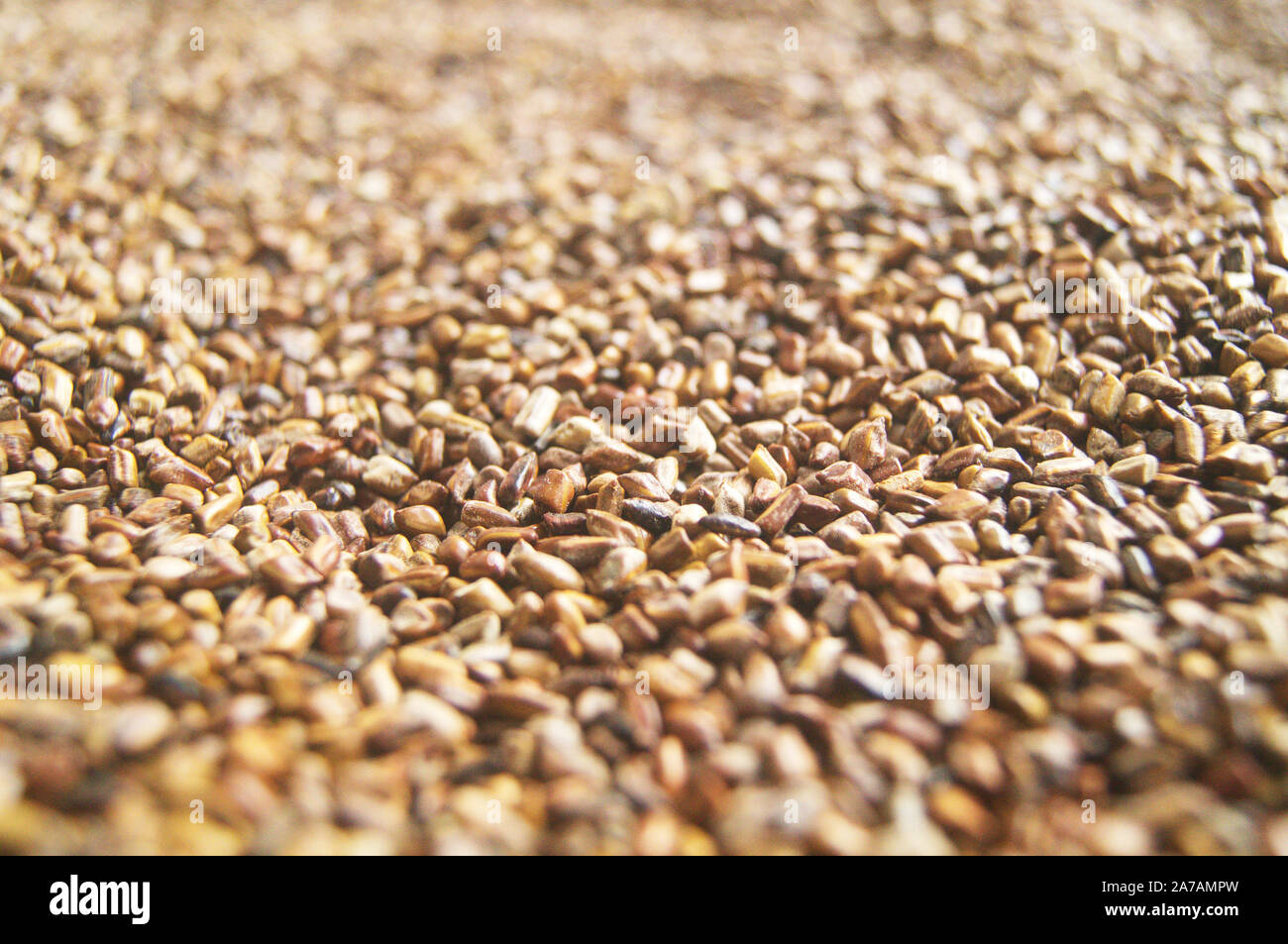 Dried buckwheat hi-res stock photography and images - Alamy