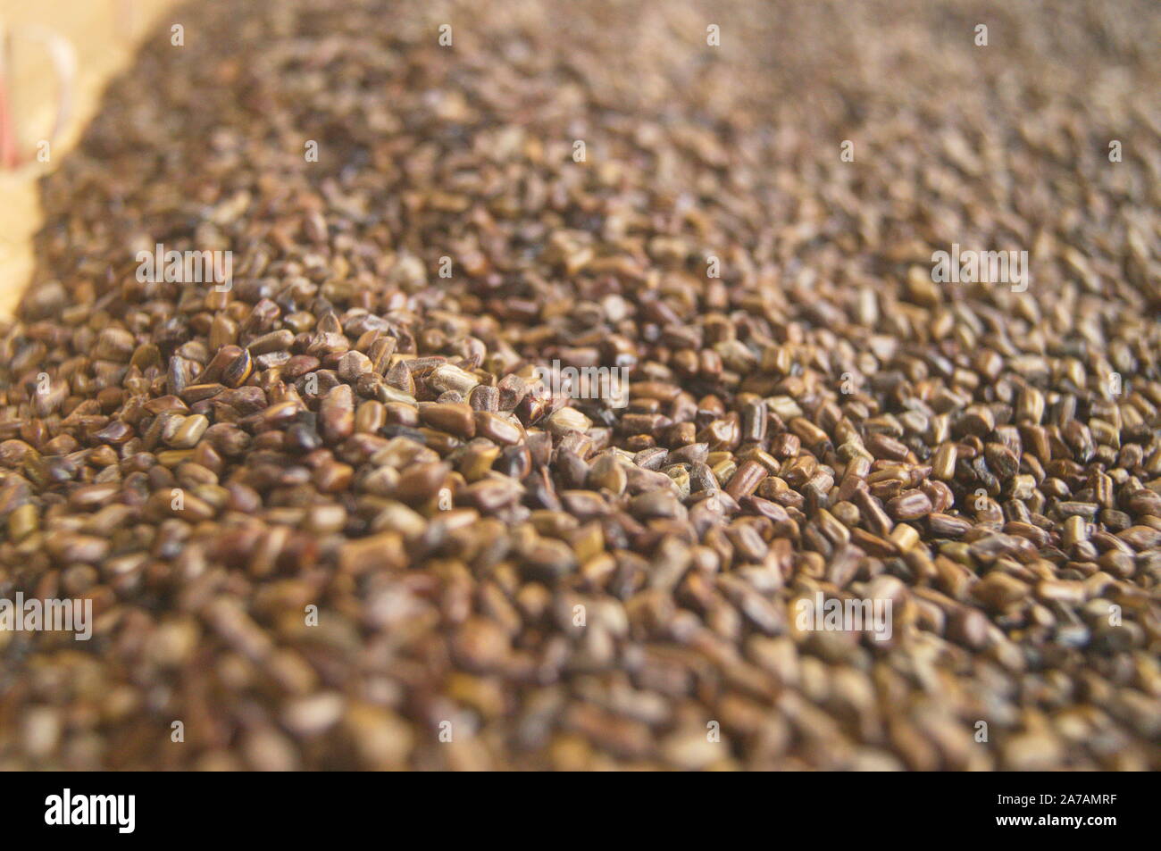 Dried buckwheat hi-res stock photography and images - Alamy