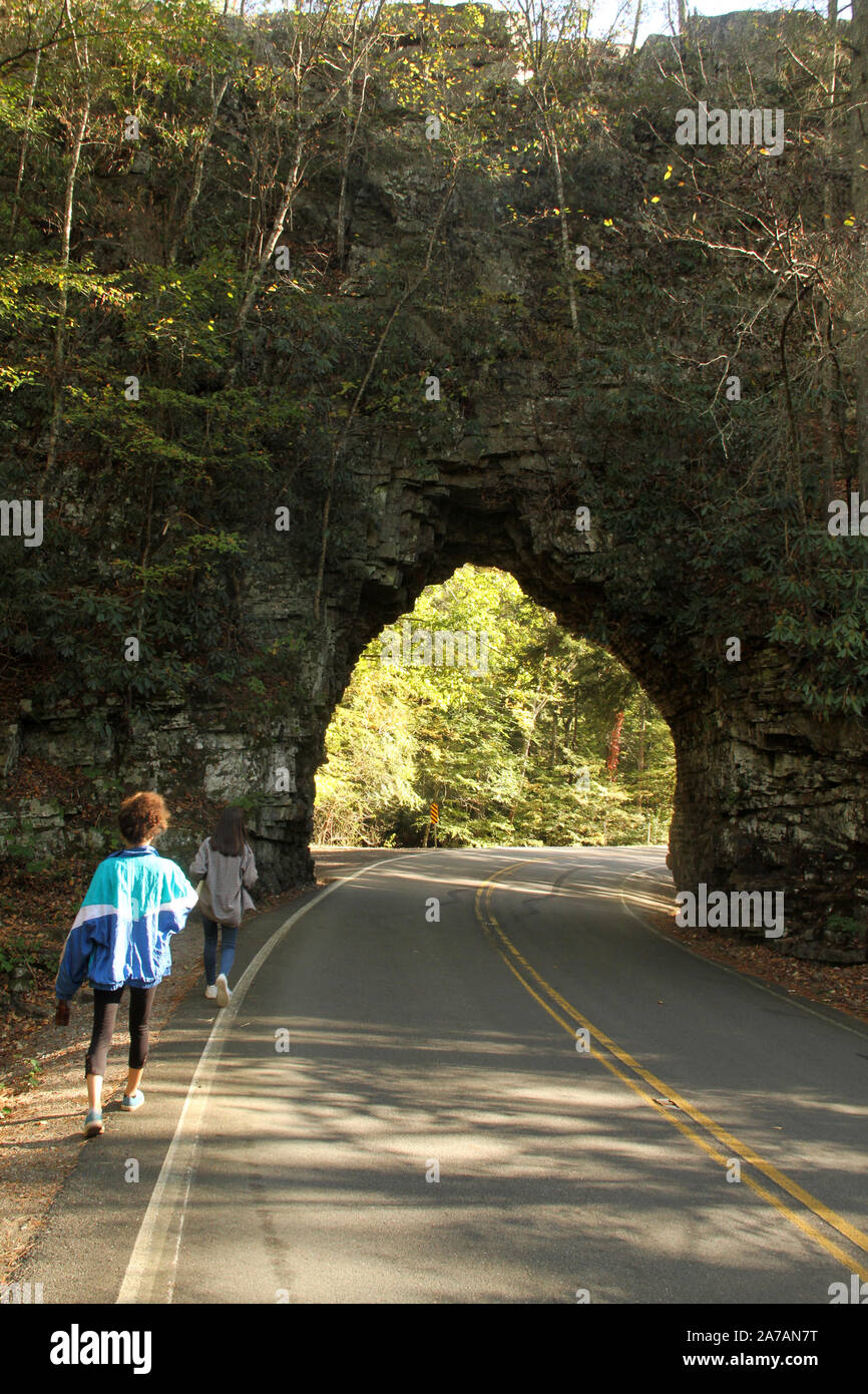 Route TN133 going through the Backbone Rock, a landmark within the ...