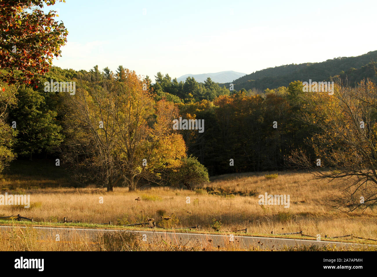 Trees changing colors in autumn in Blue Ridge Parkway, VA, USA Stock ...