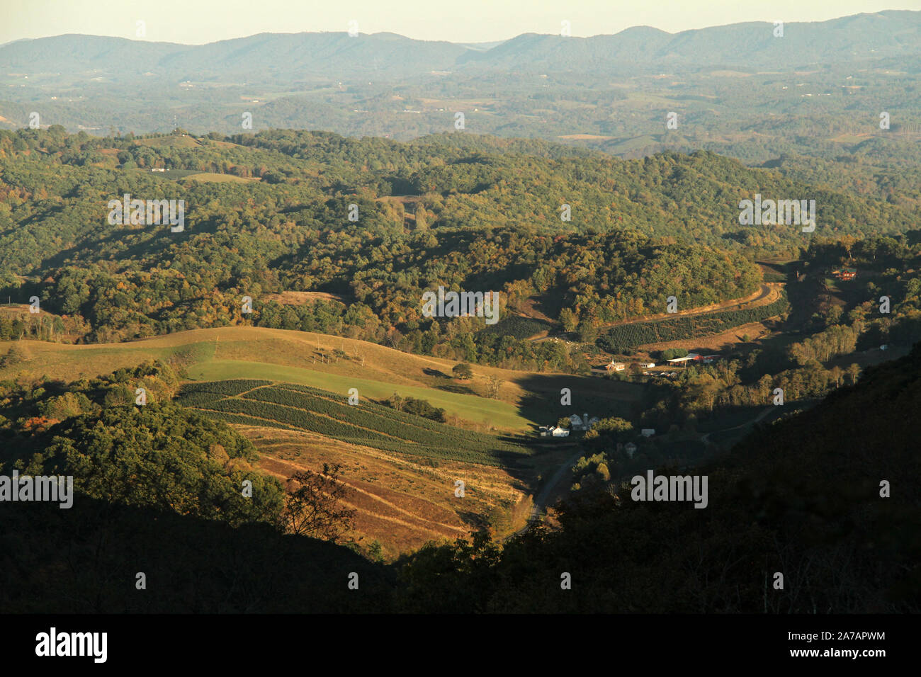 Usa deforestation hi-res stock photography and images - Alamy