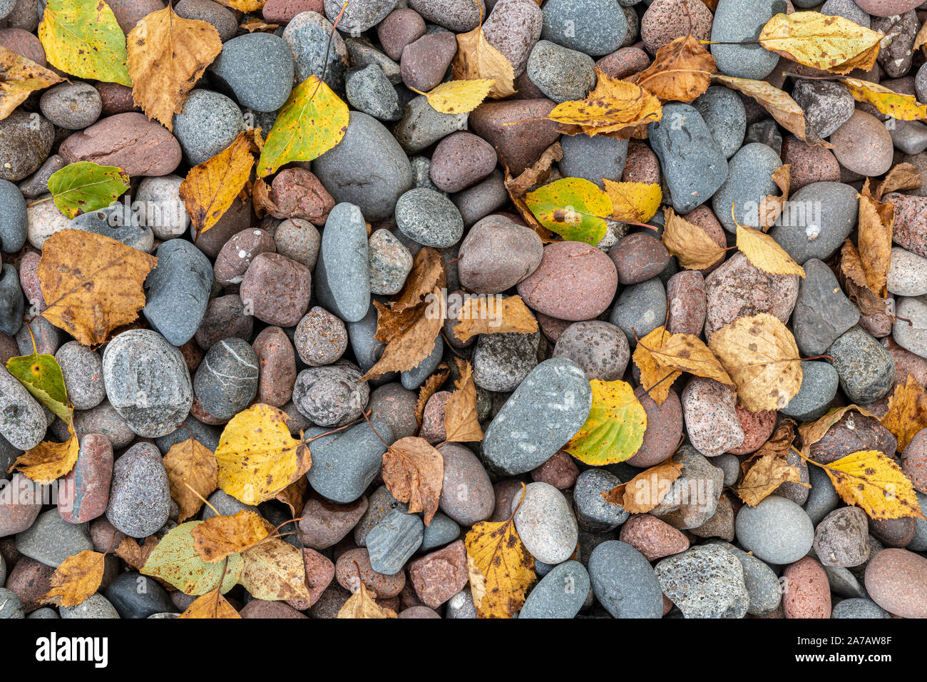 Lake superior stones hi-res stock photography and images - Alamy