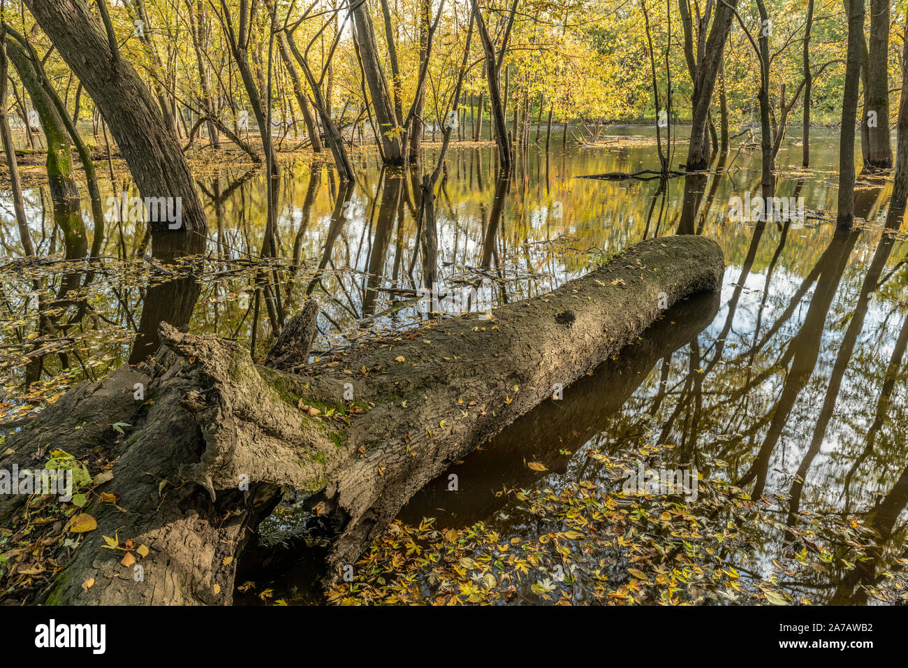 Mississippi river basin hi-res stock photography and images - Alamy