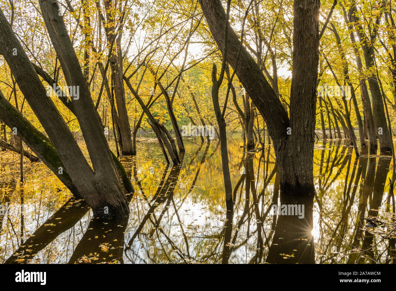 Mississippi river basin hi-res stock photography and images - Alamy