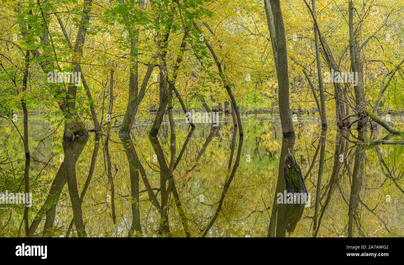 Mississippi river basin hi-res stock photography and images - Alamy