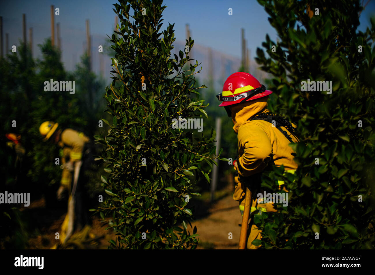 Simi Valley, California, USA. 30th Oct, 2019. Firefighters extinguish ...