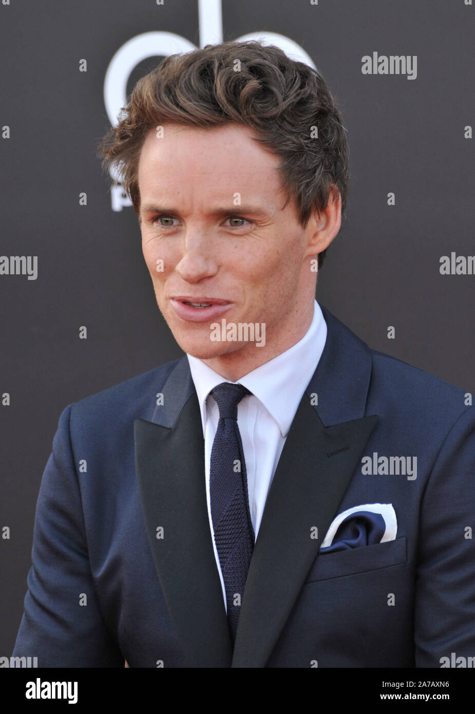 LOS ANGELES, CA - NOVEMBER 14, 2014: Eddie Redmayne at the 2014 ...