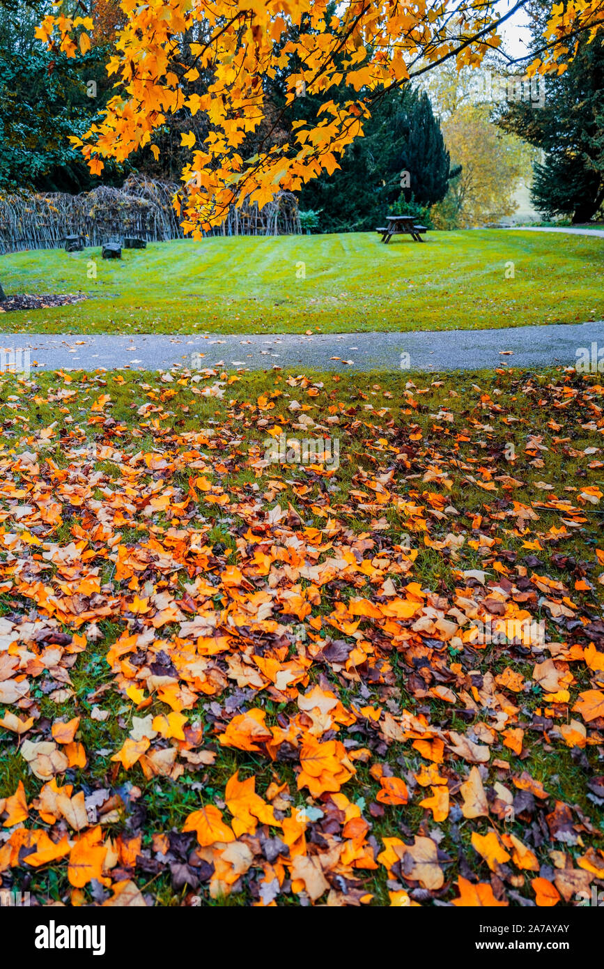 Autumn Colour at Compton Verney Stately Home. Warwickshire, England, UK ...