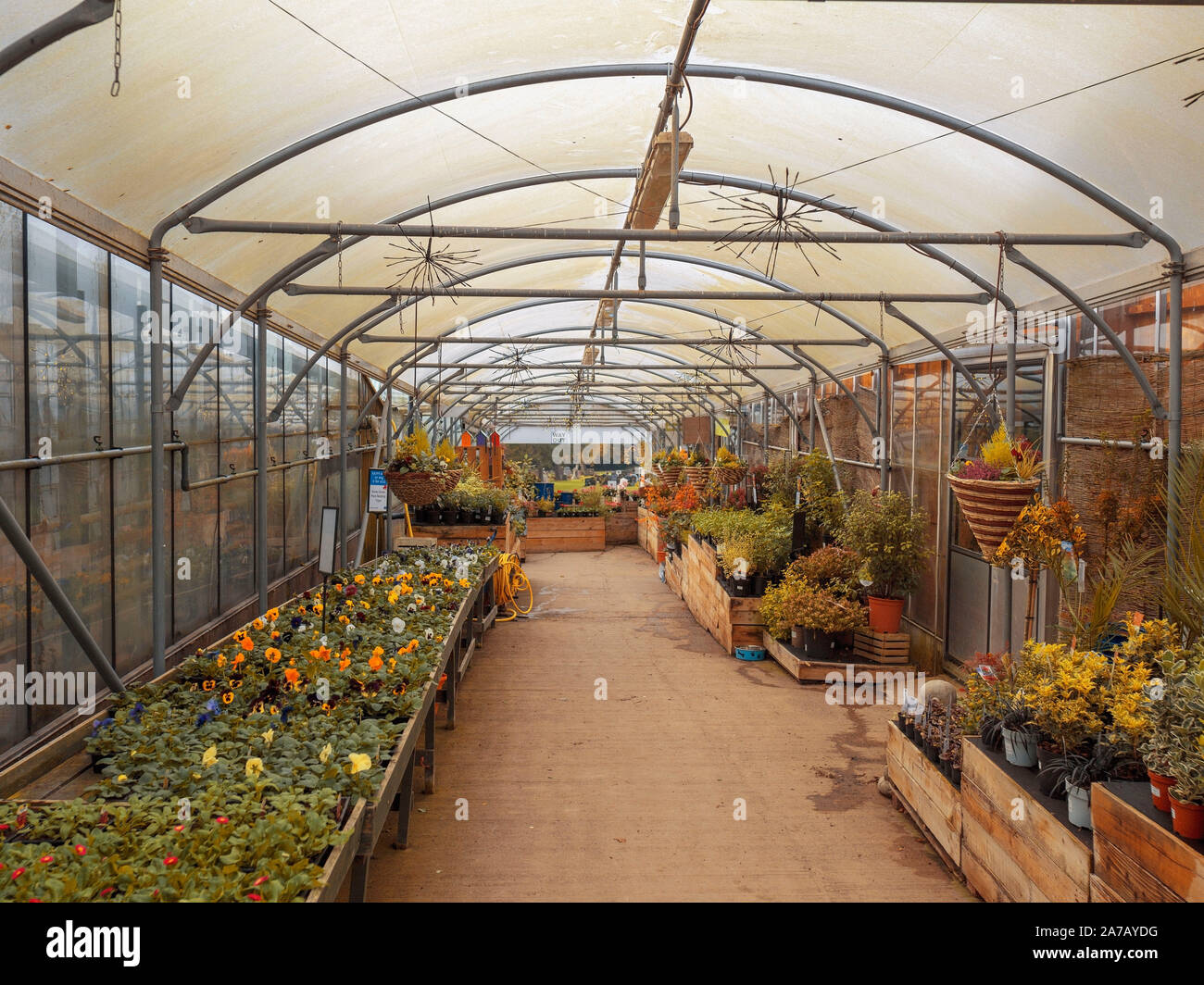 Astwood Bank High Resolution Stock Photography and Images - Alamy