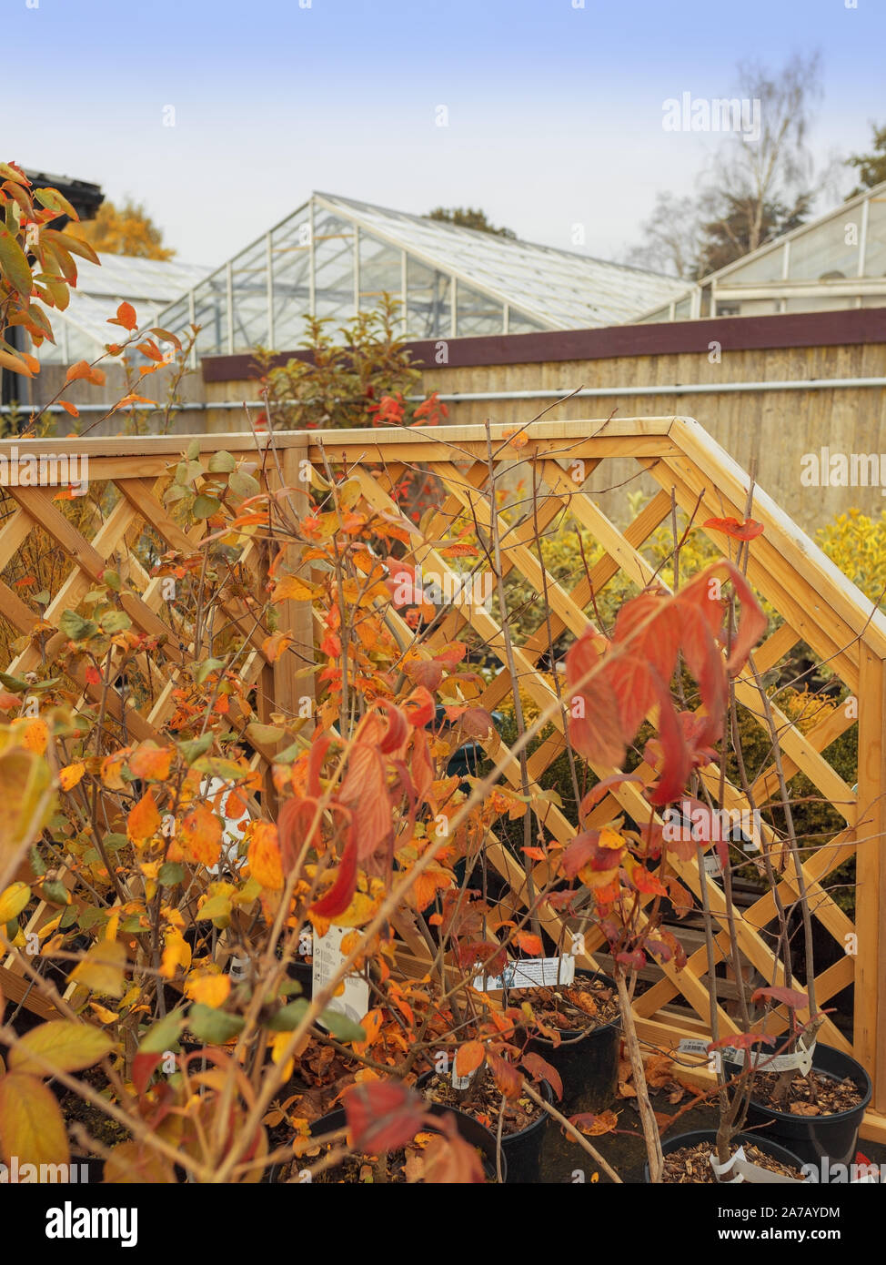 Astwood Bank High Resolution Stock Photography and Images - Alamy