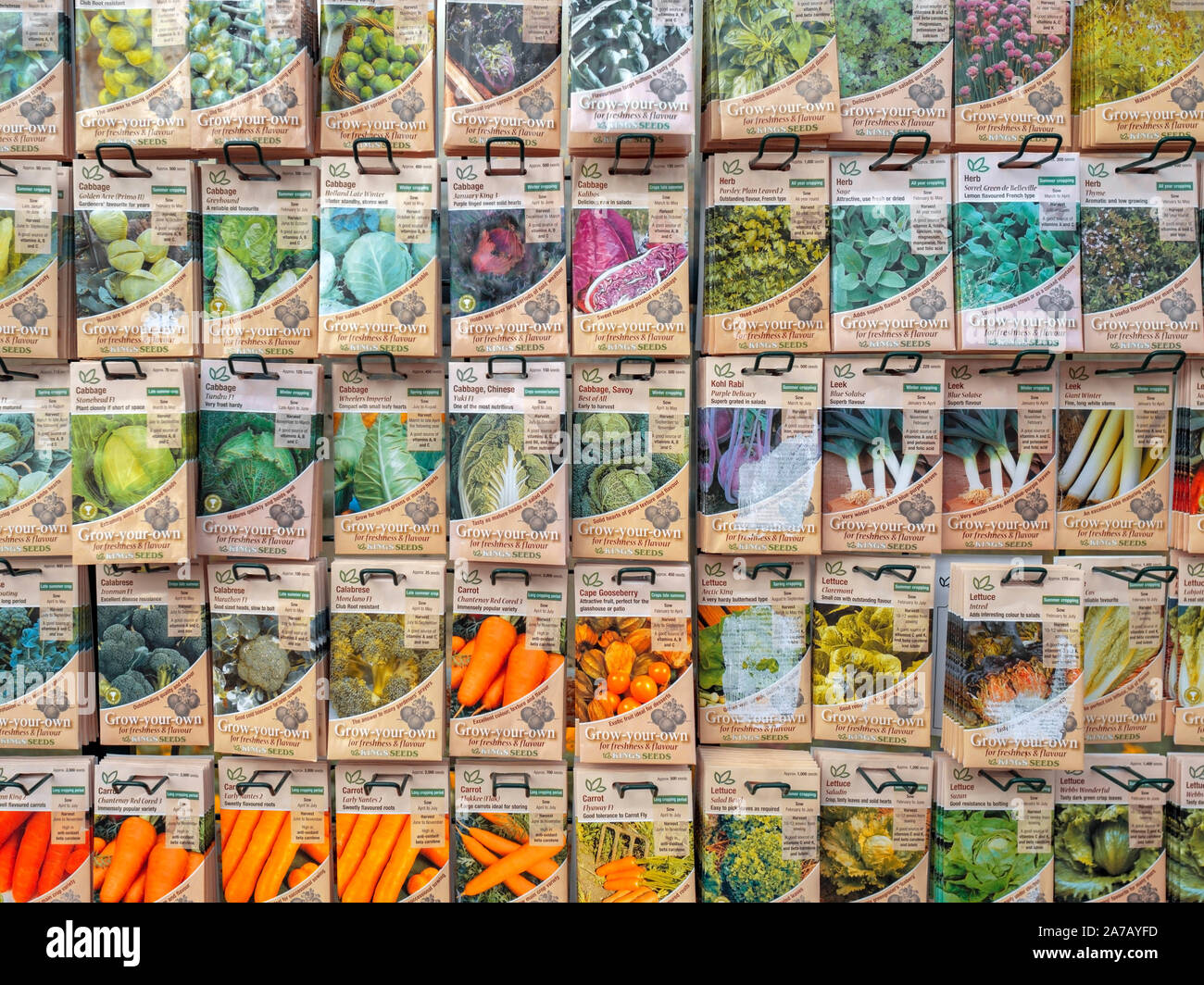 Astwood Bank, Worcestershire, England UK, October 31st. 2019. A garden ...